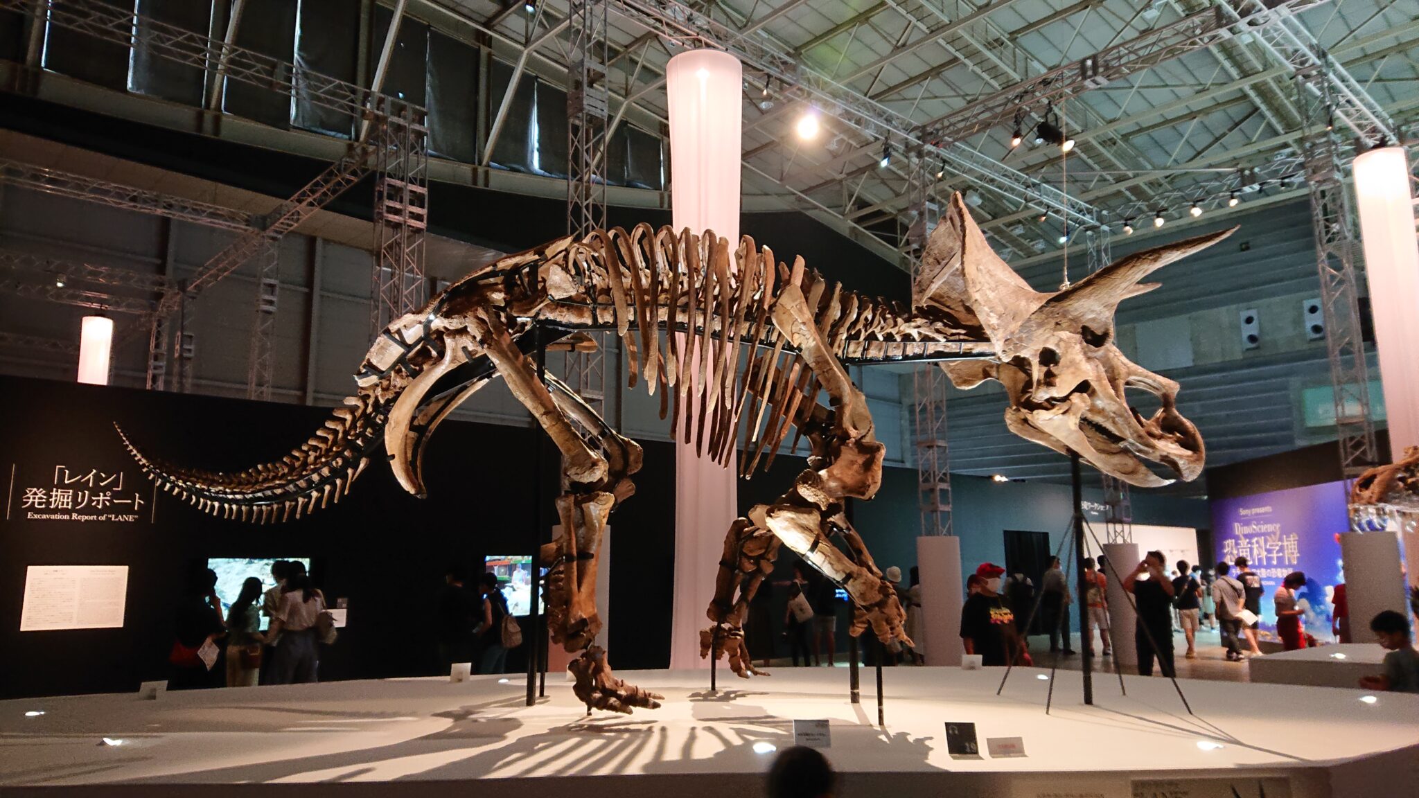 子ども連れにもカップルにもおすすめ！「DinoScience 恐竜科学博」を楽しむための8つのポイント パシフィコ横浜 - YAS的なモノ